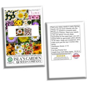 "Painted Daisy" Flower Seeds for Planting, 500+ Flower Seeds Per Packet, (Isla's Garden Seeds), Non GMO & Heirloom Seeds, Scientific Name: Chrysanthemum Carinatum