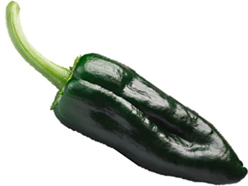 Ancho Poblano Pepper Seed - B60 (65 Seeds, or 1/2 Gram)