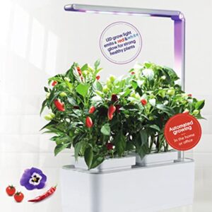 cheergrow hydroponics growing system smart indoor mini garden herb kitchen garden kit with built in led grow light for herbs/vegetables/flowers