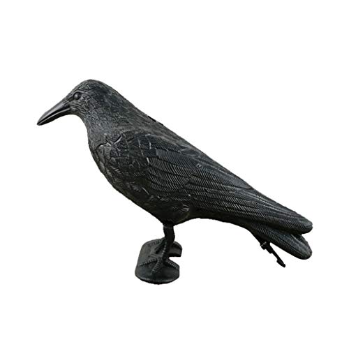 SENGTONG Scary Simulation Bait Decoration Hunting Crow Tool Plastic Jewelry Bird Garden Patio Lawn & Garden Fly Sticky Tape (Black, One Size)