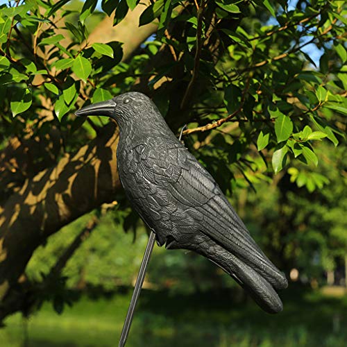 SENGTONG Scary Simulation Bait Decoration Hunting Crow Tool Plastic Jewelry Bird Garden Patio Lawn & Garden Fly Sticky Tape (Black, One Size)