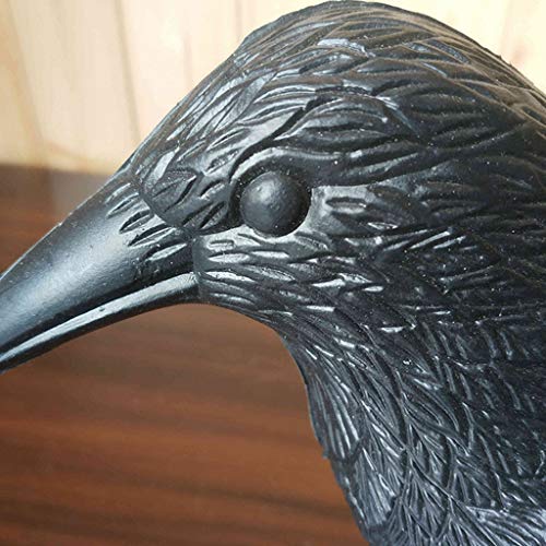 SENGTONG Scary Simulation Bait Decoration Hunting Crow Tool Plastic Jewelry Bird Garden Patio Lawn & Garden Fly Sticky Tape (Black, One Size)