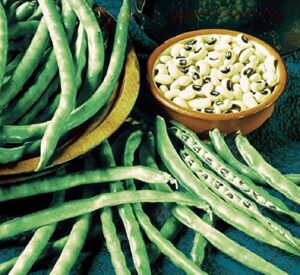 david’s garden seeds southern pea (cowpea) california blackeye (green) 100 non-gmo, heirloom seeds