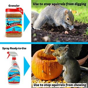 I Must Garden Squirrel Repellent [2 Pack] - Protects Vehicles, Plants, Decking, Furniture - 32oz Ready to Use