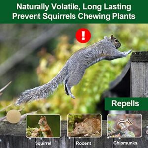 TSCTBA Squirrel Repellent Outdoor, Rodent Repellent, Chipmunk Repellent, Natural Squirrel Repellent for Bird Feeders/Garden/Attic/Cars/Shed, Ultra Powerful and Only for Outdoors - 8 Packs