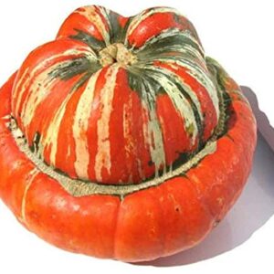 Turks Turban Gourd Squash Seeds for Planting, 25+ Heirloom Seeds Per Packet, (Isla's Garden Seeds), Non GMO Seeds, Botanical Name: Cucurbita Maxima 'Turban', Great Decoration or Gift