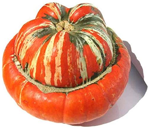 Turks Turban Gourd Squash Seeds for Planting, 25+ Heirloom Seeds Per Packet, (Isla's Garden Seeds), Non GMO Seeds, Botanical Name: Cucurbita Maxima 'Turban', Great Decoration or Gift