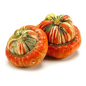 Turks Turban Gourd Squash Seeds for Planting, 25+ Heirloom Seeds Per Packet, (Isla's Garden Seeds), Non GMO Seeds, Botanical Name: Cucurbita Maxima 'Turban', Great Decoration or Gift