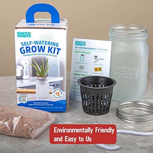 Back to the Roots Self Watering Grow Kit - Glass Hydroponic Planters for Succulents and Cacti - Hassle-Free Self-Watering System