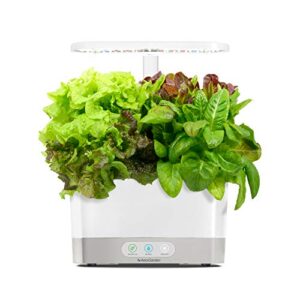 AeroGarden Harvest with Gourmet Herb Seed Pod Kit - Hydroponic Indoor Garden, White & Grow Anything Seed Pod Kit for Hydroponic Indoor Garden, 9-Pod