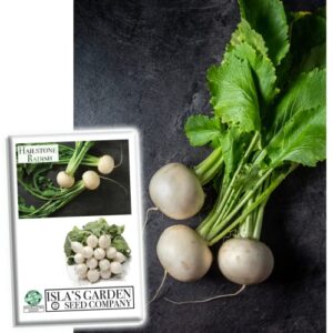 hailstone radish seeds, 250+ heirloom seeds, (isla’s garden seeds), non gmo seeds, botanical name: beta vulgaris