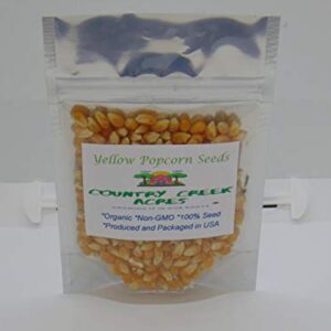 Yellow Popcorn Seed for Growing Heirloom OP Open Pollinated Non-GMO Garden Seed 25 Seeds by Country Creek Acres