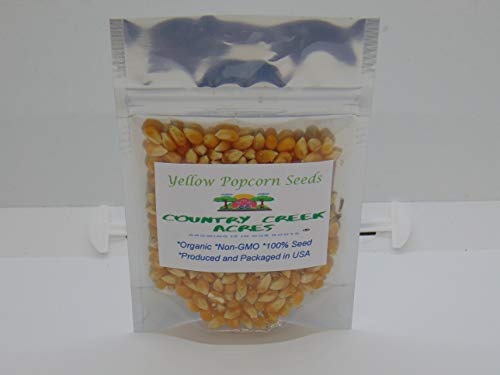 Yellow Popcorn Seed for Growing Heirloom OP Open Pollinated Non-GMO Garden Seed 25 Seeds by Country Creek Acres