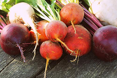 "Rainbow Mix" Beet Seeds for Planting, 50+ Heirloom Seeds Per Packet, Non GMO Seeds, Botanical Name: Beta vulgaris, Great Home Garden Gift