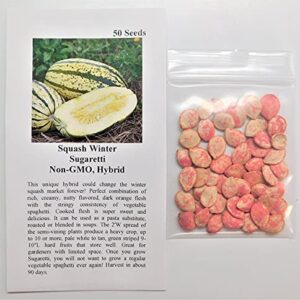 David's Garden Seeds Squash Winter Sugaretti FBA-2932 (Yellow) 25 Non-GMO, Hybrid Seeds