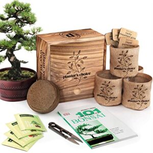 bonsai starter kit – diy bonsai growing gift – garden hobbies for adults, women & men : 4 unique tree seeds, soil, pots, pruning shears, plant markers + wood gift box