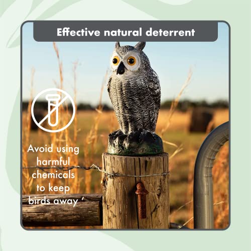 Fake Owl Decoy and Bird Deterrent - Set of 3 Plastic Owl to Scare Birds Away - Effective Bird Deterrent Devices as Scarecrow for Garden - Bird Repellent Devices Outdoor, Keep Birds Away!