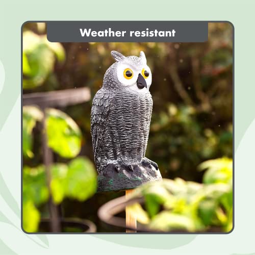 Fake Owl Decoy and Bird Deterrent - Set of 3 Plastic Owl to Scare Birds Away - Effective Bird Deterrent Devices as Scarecrow for Garden - Bird Repellent Devices Outdoor, Keep Birds Away!