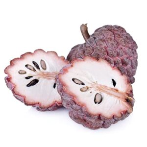 QAUZUY GARDEN 10 Annona Squamosa Seeds, Custard Apple Seeds, Sugar-Apple, Sweetsops, Non-GMO Fruit Seeds, Prolific Perennial Tropical Exotic Fruit Tree for Home Garden