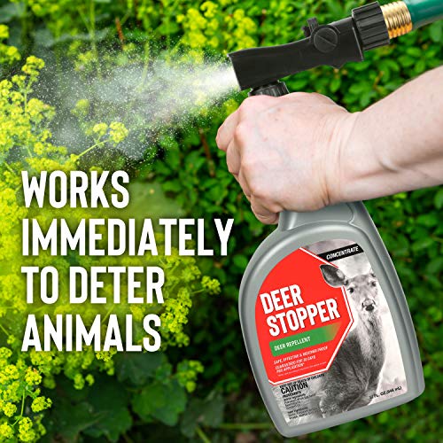 Messina Wildlife Deer Stopper- Safe & Effective, Food Grade Ingredients; Deer Elk, and Moose; Easy to Use, 2.5 Gallon Liquid Concentrate