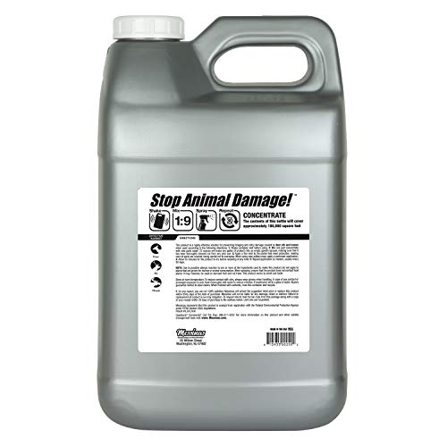 Messina Wildlife Deer Stopper- Safe & Effective, Food Grade Ingredients; Deer Elk, and Moose; Easy to Use, 2.5 Gallon Liquid Concentrate