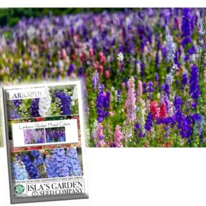 larkspur rocket mix colors blend flower seeds, 250+ flower seeds per packet, (isla’s garden seeds), non gmo & heirloom seeds, botanical name: delphinium ajacis, great home garden gift