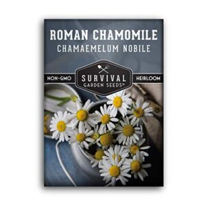 survival garden seeds – roman chamomile seed for planting – packet with instructions to plant and grow calming medicinal herbs in your home vegetable garden – non-gmo heirloom variety