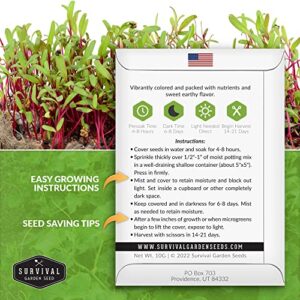 Survival Garden Seeds Beet Microgreens for Sprouting and Growing - Seed to Sprout Green Leafy Micro Vegetable Plants Indoors - Grow Your Own Mini Windowsill Garden - Non-GMO Heirloom Variety