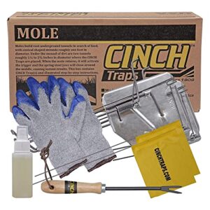 cinch mole trap deluxe kit large (2 pack) heavy duty and reusable, rust and weather resistant, outdoor use, lawns, gardens, sports fields, yards, personal and professional-grade use