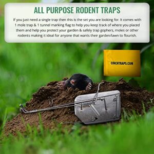 Cinch Mole Trap Deluxe Kit Large (2 Pack) Heavy Duty and Reusable, Rust and Weather Resistant, Outdoor Use, Lawns, Gardens, Sports Fields, Yards, Personal and Professional-Grade Use