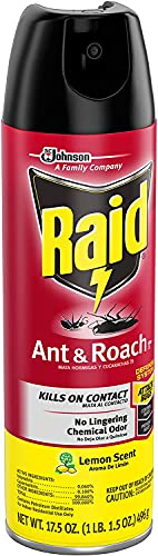 Raid Ant & Roach Killer Lemon Scent, 17.5 Ounce (Pack of 1)