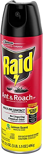 Raid Ant & Roach Killer Lemon Scent, 17.5 Ounce (Pack of 1)