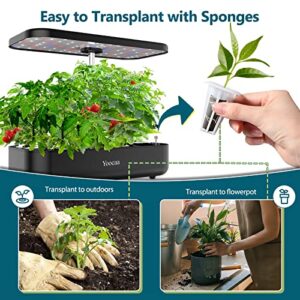 Yoocaa Seed Pods Kit for Hydroponics Growing System, 24pcs Grow Sponges with A&B Solid Nutrient Plant Foods, Seed Starter Pods Replacement Root Growth Sponges Compatible with Idoo,QYO, LYKO (Square)