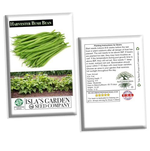 "Harvester" Bush Bean Seeds for Planting, 50+ Heirloom Seeds Per Packet, (Isla's Garden Seeds), Non GMO Seeds, Botanical Name: Phaseolus vulgaris, Great Home Garden Gift