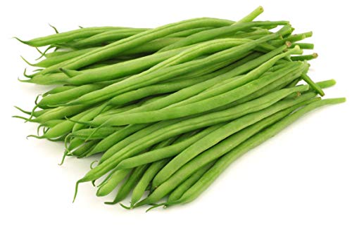 "Harvester" Bush Bean Seeds for Planting, 50+ Heirloom Seeds Per Packet, (Isla's Garden Seeds), Non GMO Seeds, Botanical Name: Phaseolus vulgaris, Great Home Garden Gift