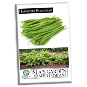 "Harvester" Bush Bean Seeds for Planting, 50+ Heirloom Seeds Per Packet, (Isla's Garden Seeds), Non GMO Seeds, Botanical Name: Phaseolus vulgaris, Great Home Garden Gift