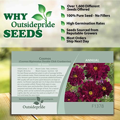 Outsidepride Cosmos Bipannutus Double Click Cranberries Garden Cut Flower Seeds - 50 Seeds