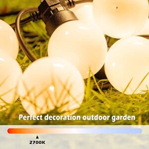 PURPLE LEAF Outdoor String Lights 24 Ft 12 Led Waterproof Bulbs Commercial Decorative for Patio Gazebo Pergola Garden Bistro and Outside Shatterproof Led Hanging Light