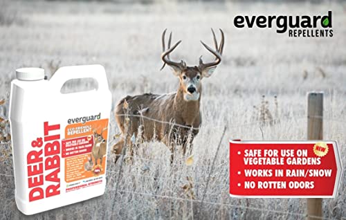 Everguard ADPC032 Concentrated Deer and Rabbit Repellent