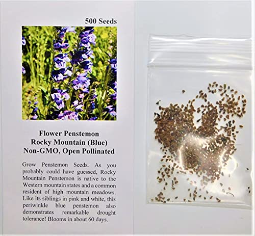 David's Garden Seeds Flower Penstemon Rocky Mountain 1124 (Blue) 200 Non-GMO, Heirloom Seeds