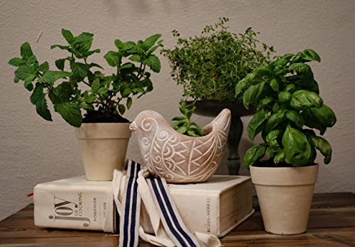 Awake Farms Indoor Herb Garden Seed Starter Kit – Indoor Grow Kit with Bamboo Pots, Soil Discs, Moisture Meter, Plant Markers, Seeds - Herb Seeds Variety Pack Indoor – Ideal for Balcony, Windowsill