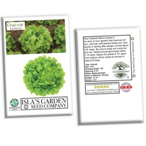 Oakleaf Leaf Lettuce Seeds for Planting, 1000+ Heirloom Seeds Per Packet, (Isla's Garden Seeds), Non GMO Seeds, Botanical Name: Lactuca Sativa, Great Home Garden Gift