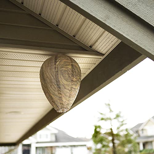 Bisanzoya Wasp Nest Decoys Waterproof Hanging Wasp Deterrent, Effective Deterrent Bee Hornets Fake Nests for Wasps Hornets Home Garden Yard Outdoors