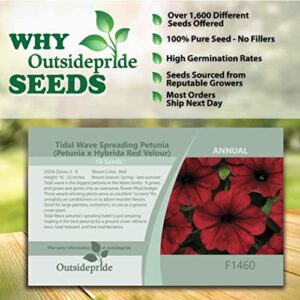 Outsidepride Spreading Tidal Wave Red Velour Petunia Garden Flowers for Hanging Baskets, Pots, Containers, Beds - 30 Seeds