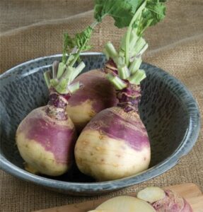 david’s garden seeds rutabaga american purple top fba-4315 (purple) 100 non-gmo, heirloom seeds