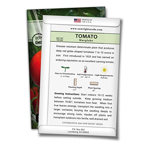 Sow Right Seeds - Marglobe Tomato Seed for Planting - Non-GMO Heirloom Packet with Instructions to Plant and Grow a Home Vegetable Garden