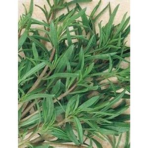 summer savory seeds – every herb garden needs savory seeds-(25 – seeds)