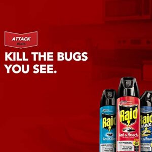 Raid Ant and Roach Killer Outdoor Fresh, 17.5 OZ (pack of 3)