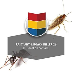 Raid Ant and Roach Killer Outdoor Fresh, 17.5 OZ (pack of 3)