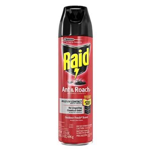 Raid Ant and Roach Killer Outdoor Fresh, 17.5 OZ (pack of 3)